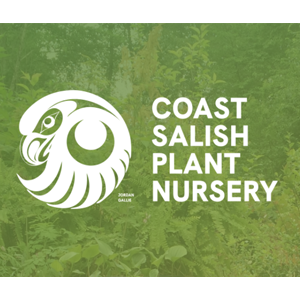 Nature Resources from the Lynn Canyon Ecology Centre