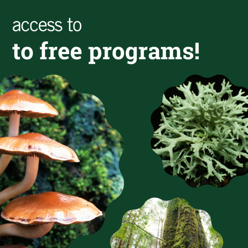 Children's Programs at the Ecology Centre